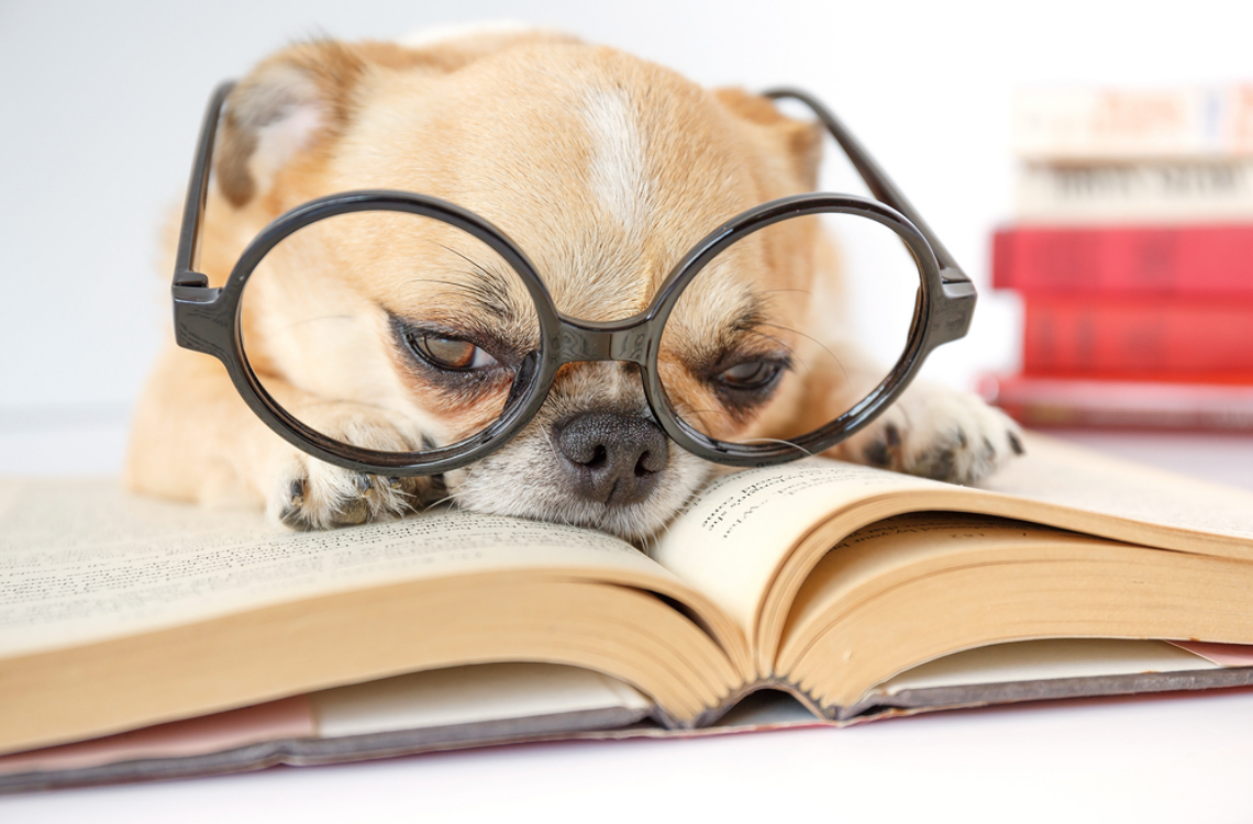 When 'Reading to Dogs' Improves Reading Fluency in Children - December ...