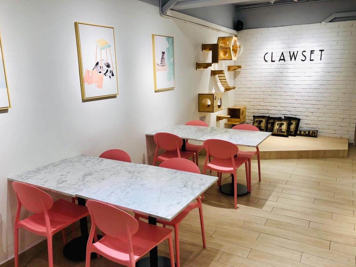 10 Best Pet Cafes to Visit in Kuala Lumpur and Selangor