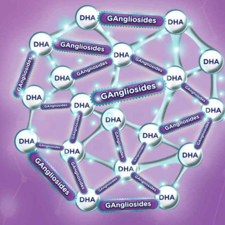 Why Your Child’s Brain Needs Gangliosides | Motherhood Malaysia