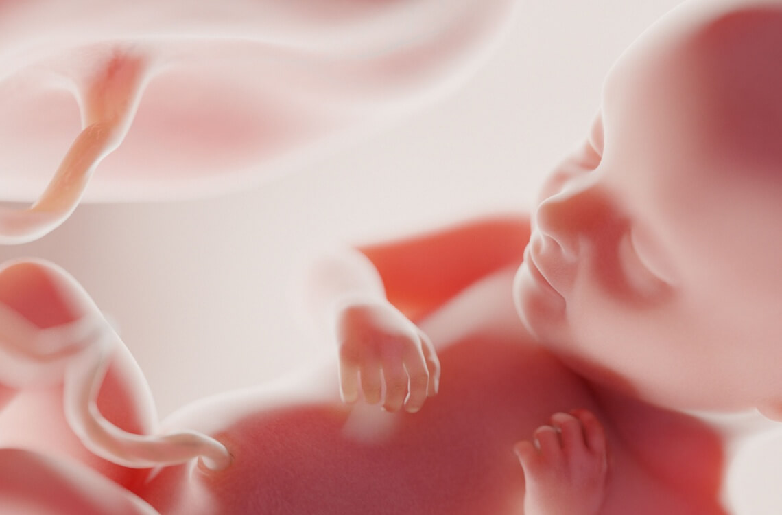 Third Trimester: 32 Weeks Pregnant | Motherhood Malaysia