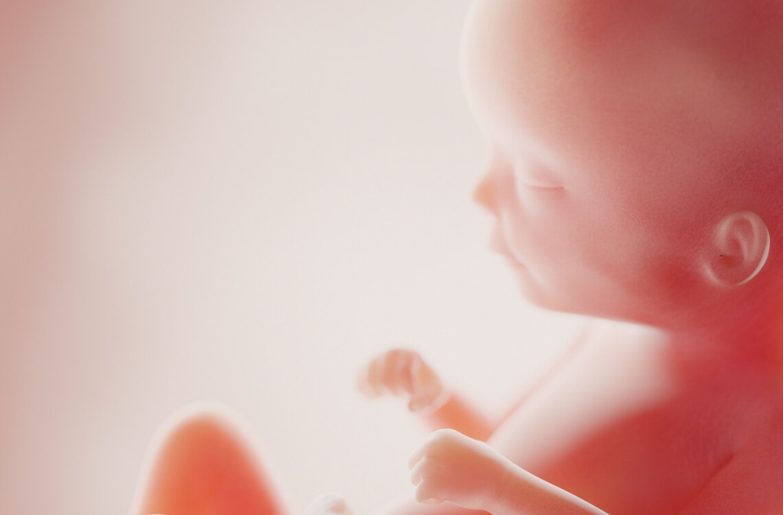 Second Trimester: 16 Weeks Pregnant | Motherhood