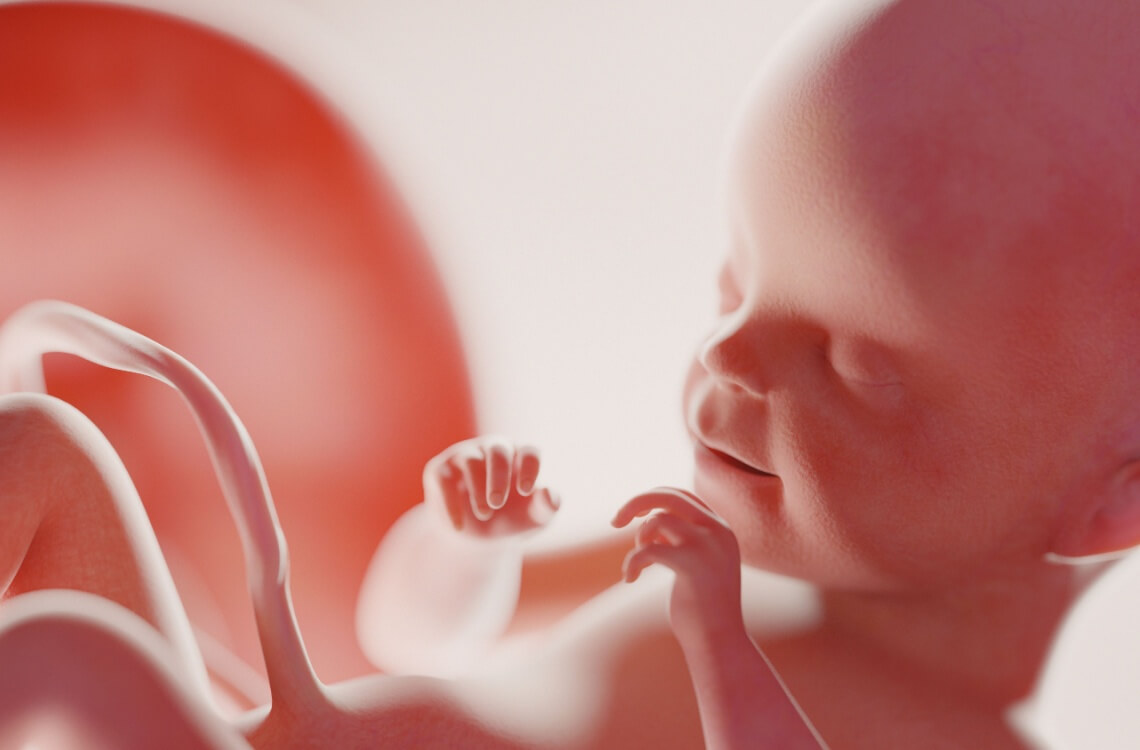 Second Trimester: 21 Weeks Pregnant - November 2025 | Motherhood Malaysia