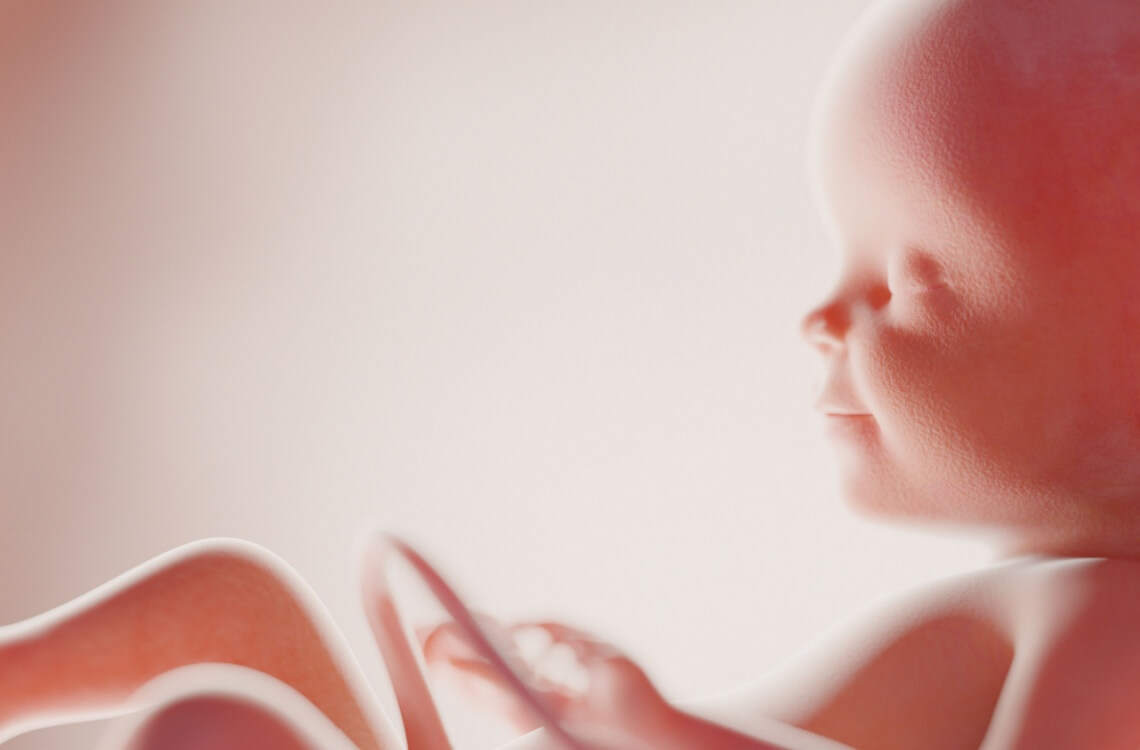 Second Trimester: 22 Weeks Pregnant Development