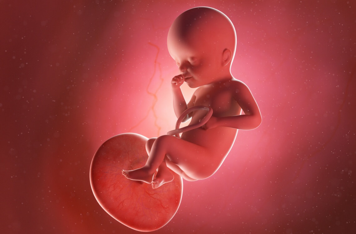 Second Trimester: 25 Weeks Pregnant - May 2026 | Motherhood Malaysia
