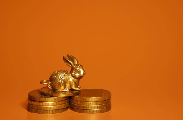 Wisdom for Wealth: What the Year of the Rabbit Has in Store for Your ...