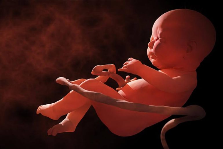 Third Trimester: 42 Weeks Pregnant - April 2026 | Motherhood Malaysia