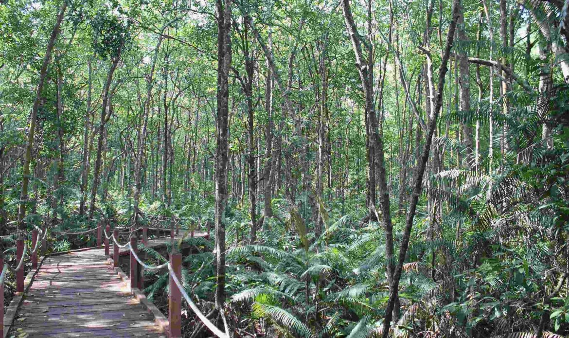 20 Tempat Menarik di Perak (2026) - Popular untuk Staycation