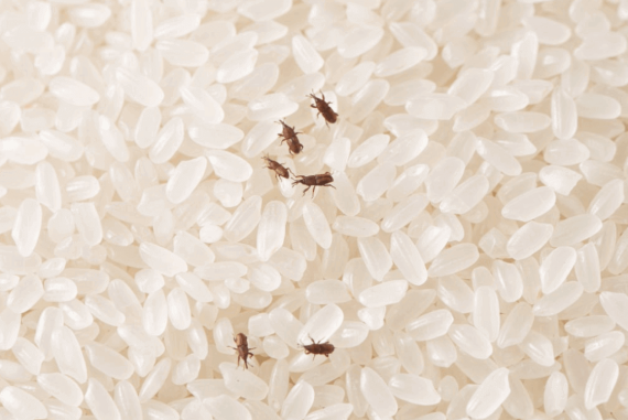 10 Checklist Tunang Untuk Proses Pertunangan Yang Lancar dan Mudah!