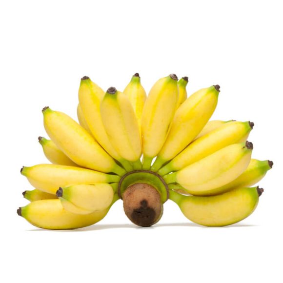 Kenali 11 Jenis Pisang Yang Ada di Malaysia & Keunikannya! (2026)