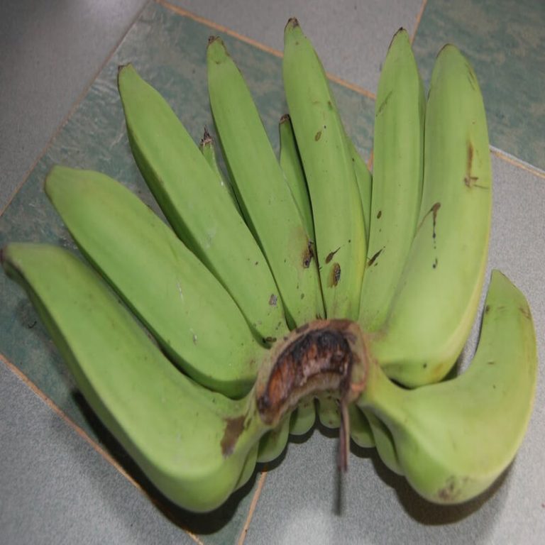 Kenali 11 Jenis Pisang Yang Ada di Malaysia & Keunikannya! (2026)