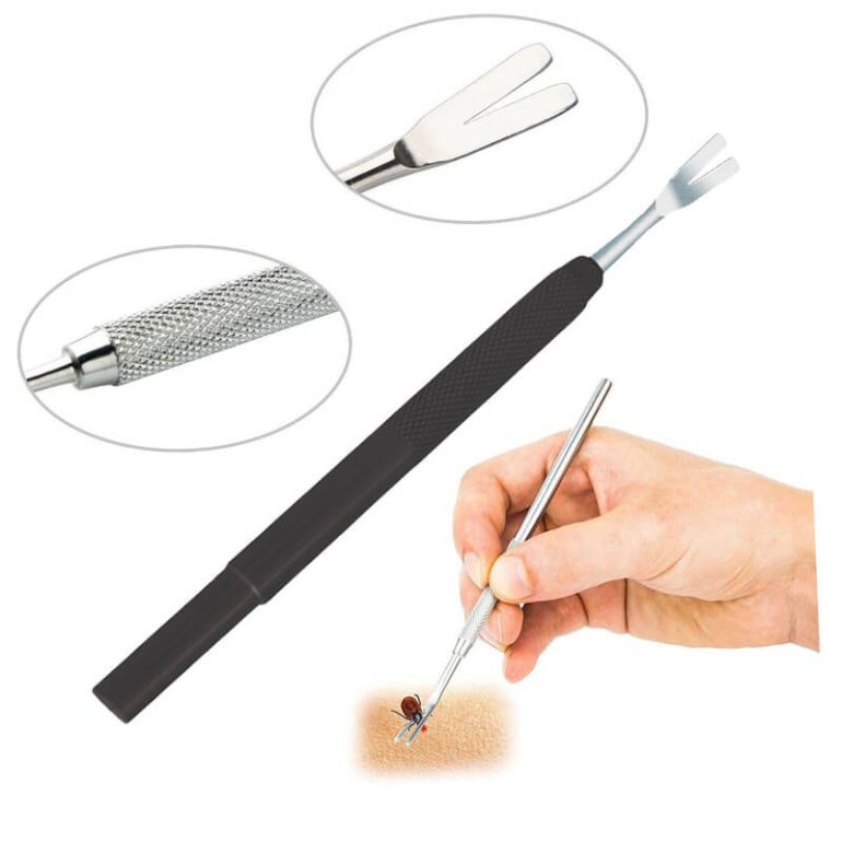 Kutu Babi - Parasit Kecil Yang Boleh Undang Komplikasi (2025)