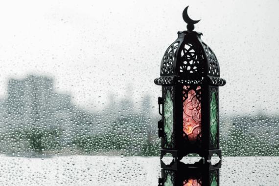 Ulat Habuk/Ulat Dinding: Ancaman dan Cara Mengawalnya di Rumah