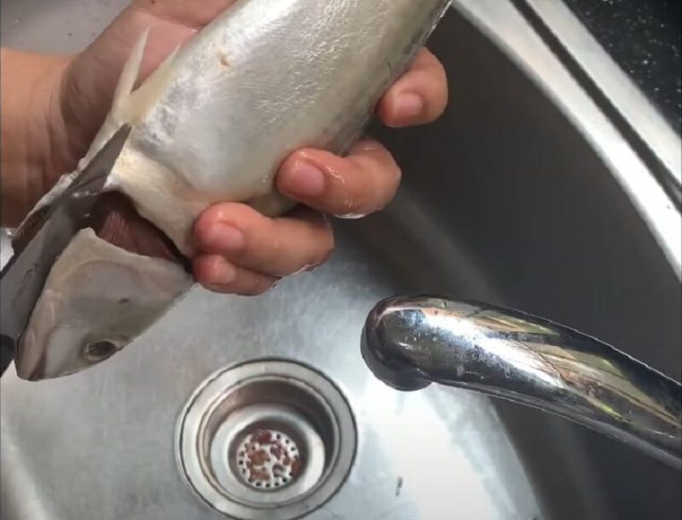 Cara Siang Ikan Guna Gunting Je. Paling Mudah! (2026)