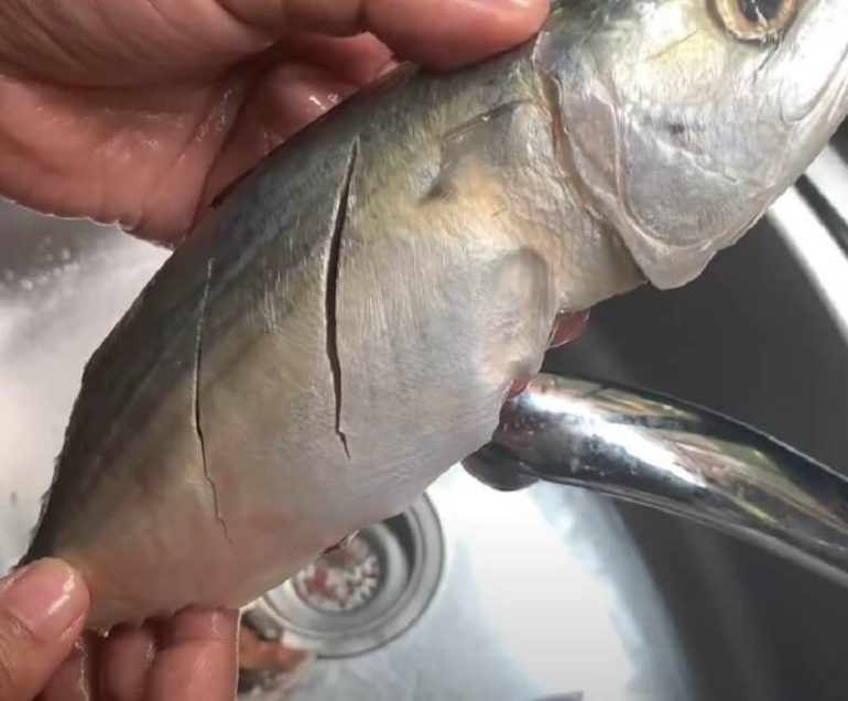 Cara Siang Ikan Guna Gunting Je. Paling Mudah! (2026)
