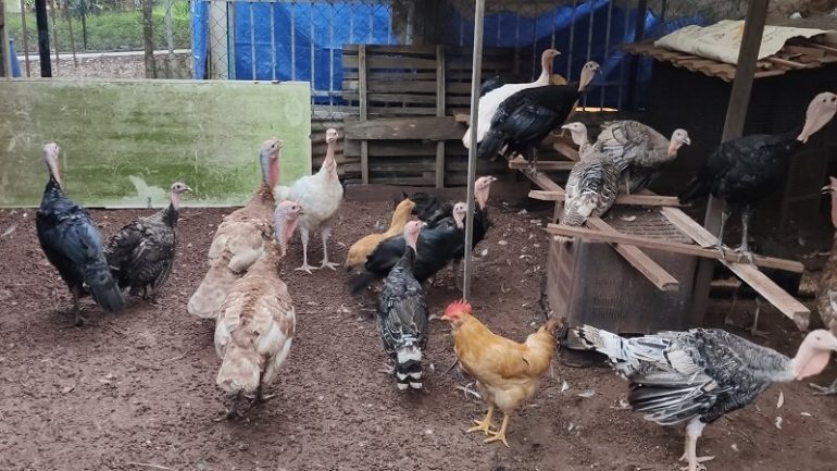 Cipta Kenangan Terindah Mommy di 17 Tempat Menarik di Segamat Ini