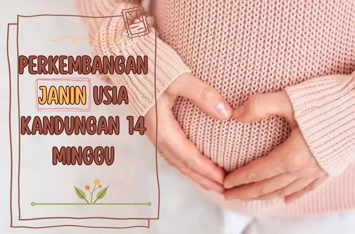 Kandungan 14 Minggu - Apa Yang Sedang Berlaku | Motherhood Malaysia