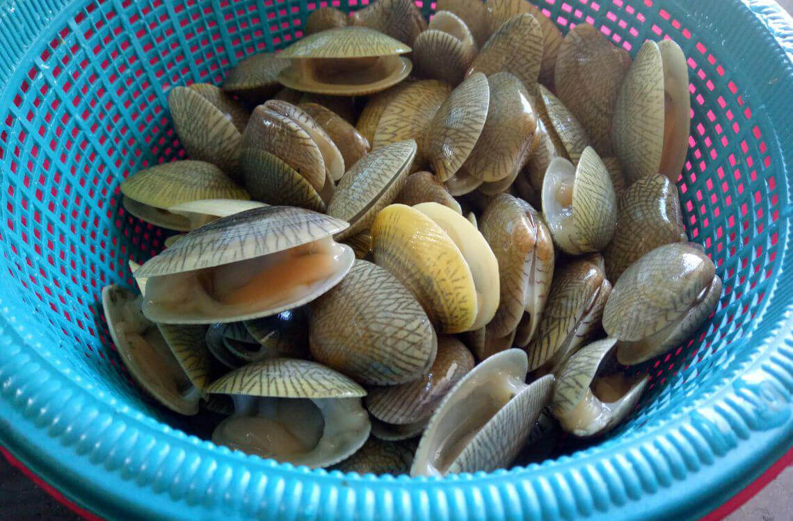 Cara Bersihkan Lala Dengan 8 Kaedah Paling Mudah (2026)