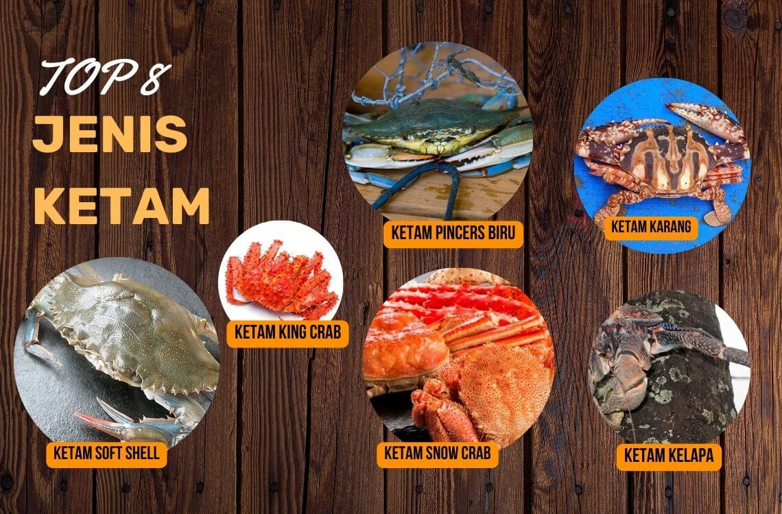 Jenis Ketam - 8 Yang Paling Popular | Motherhood Malaysia (2025)