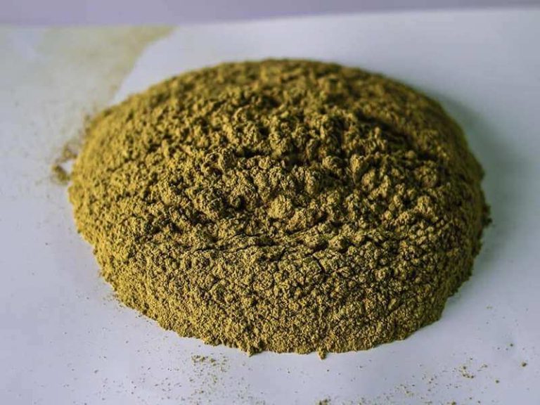 14 Manfaat dan Khasiat Daun Sanna untuk Kesihatan