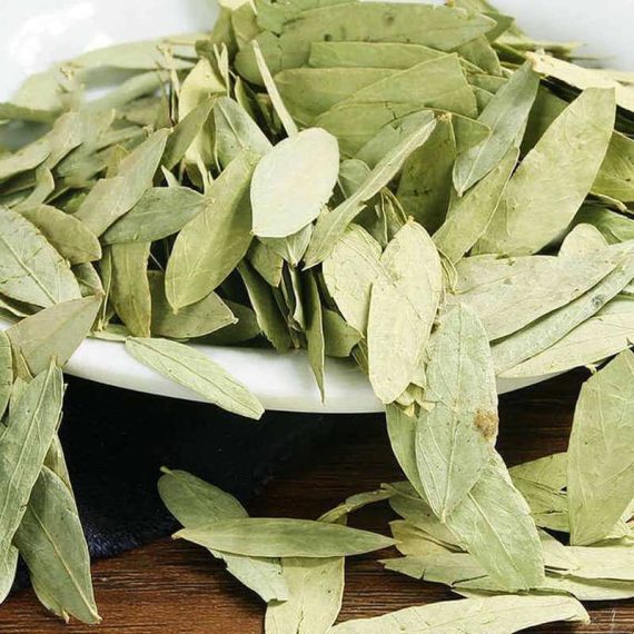 14 Manfaat dan Khasiat Daun Sanna untuk Kesihatan