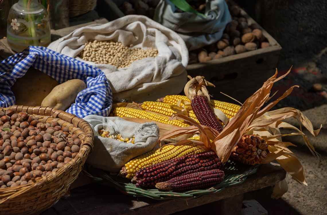 Makanan Ketika Hamil: Jenis Bijirin dan Kentang yang Selamat Untuk di Makan